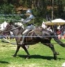 10 March 1524 - Henry VIII has a Jousting Accident - The Anne Boleyn Files